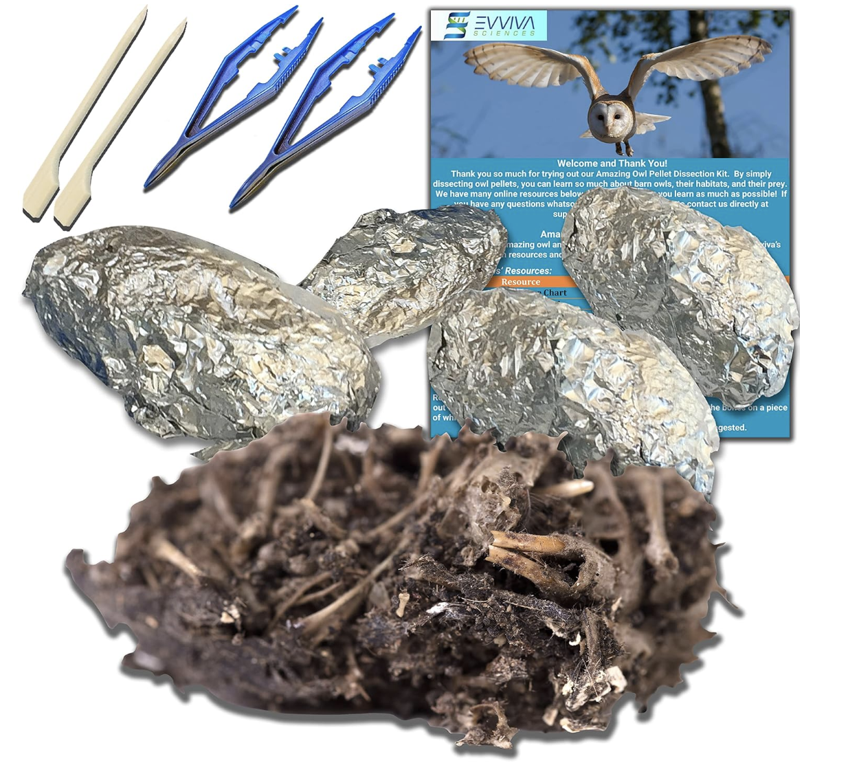 Amazing Owl Pellet Dissection Kit – 5-Piece Owl Pellet Set for Science ...
